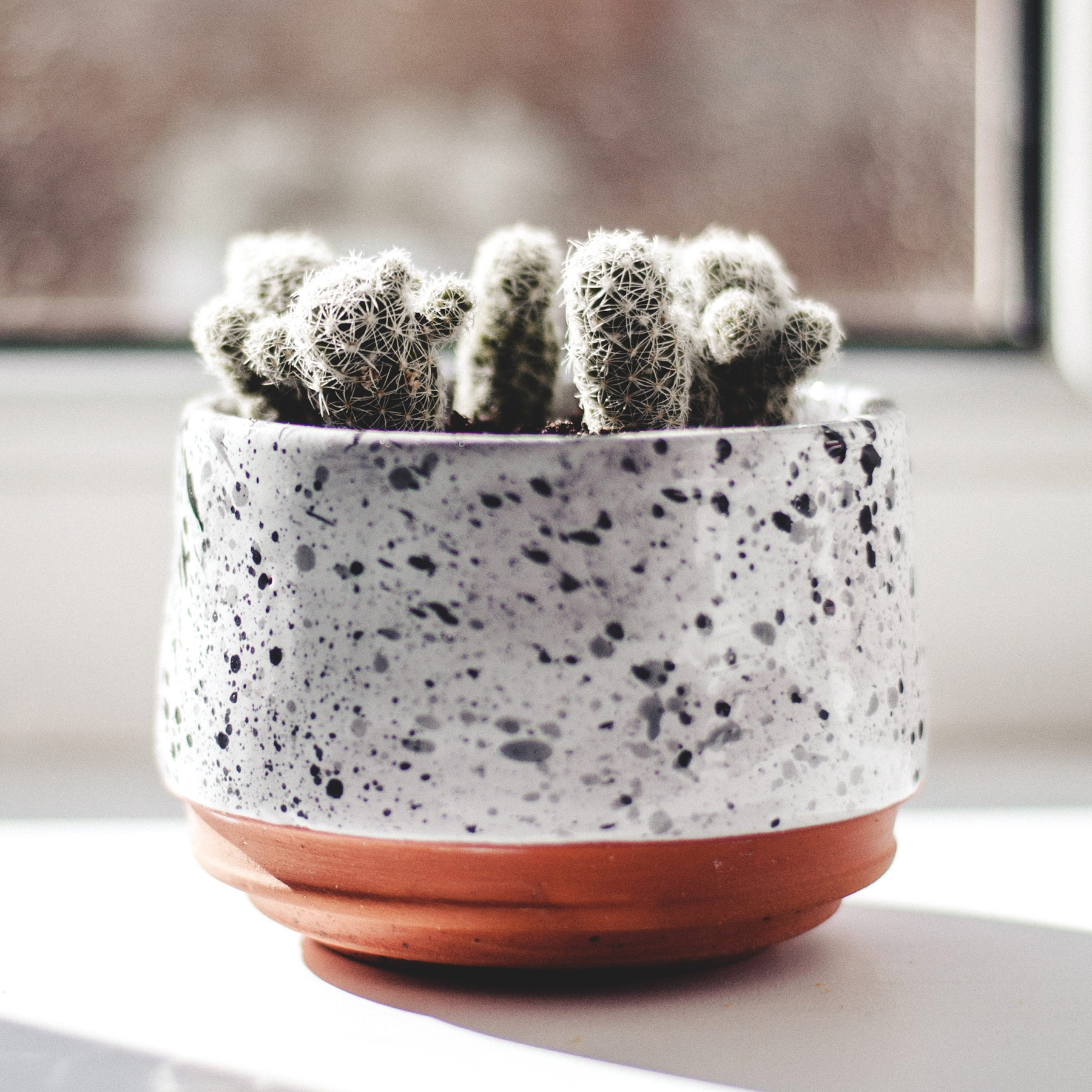 product-06 – Jasper Lo Limited