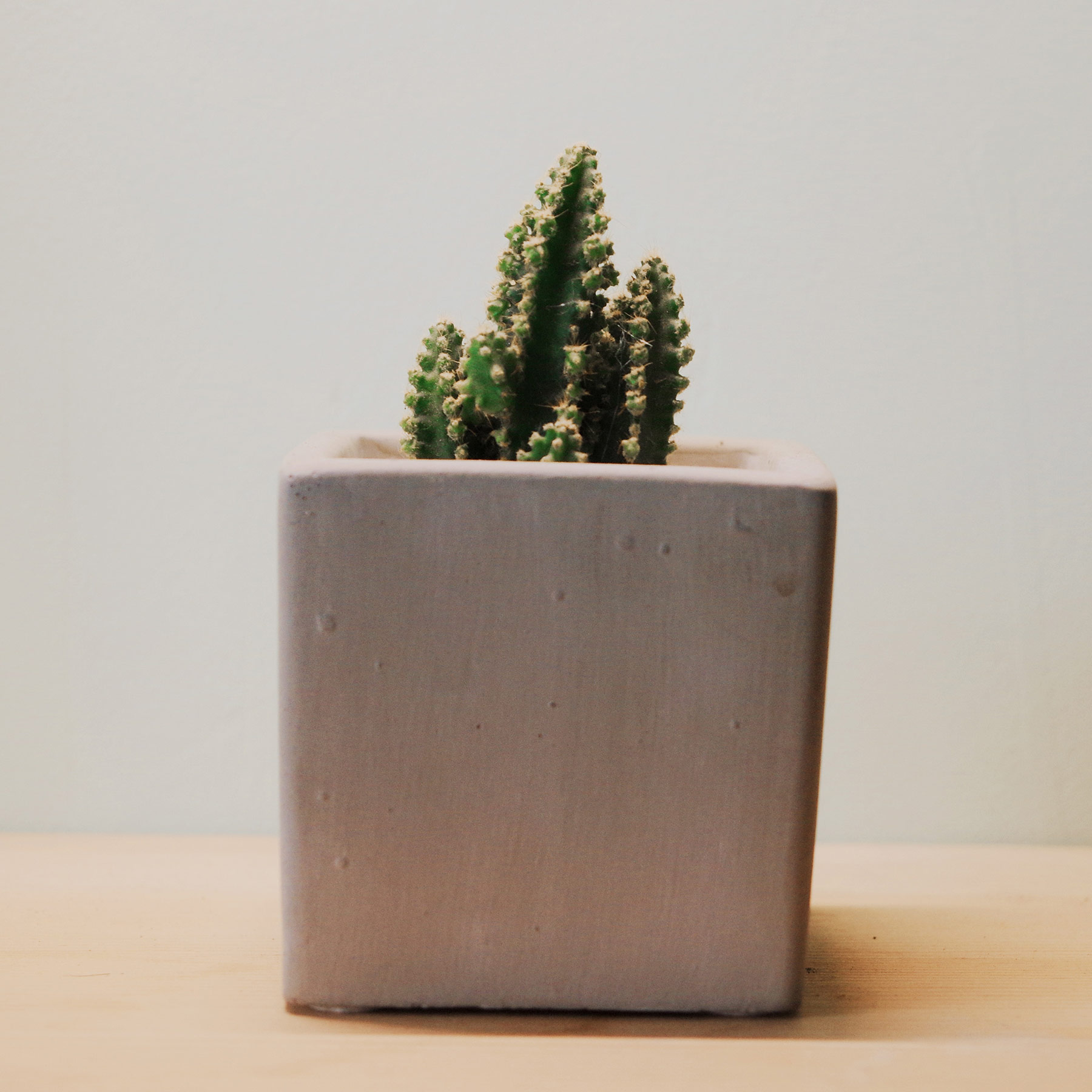 product-08 – Jasper Lo Limited